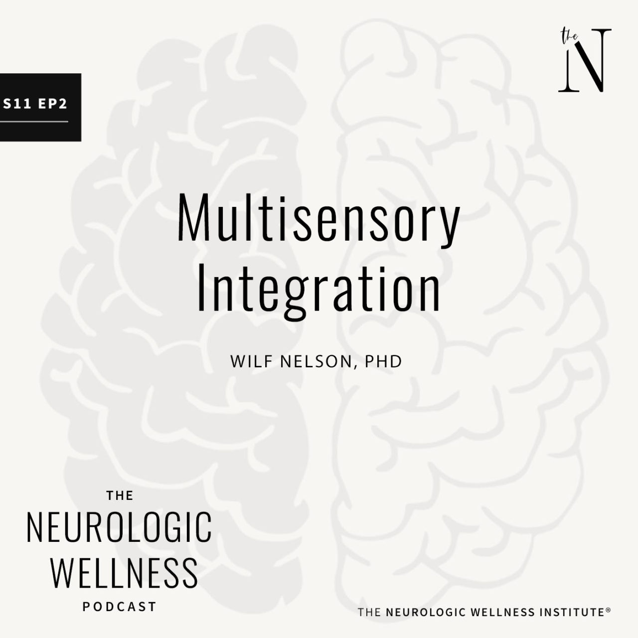 Multisensory Integration The Neurologic Wellness Institute Multisensory Integration The Neurologic Wellness Institute