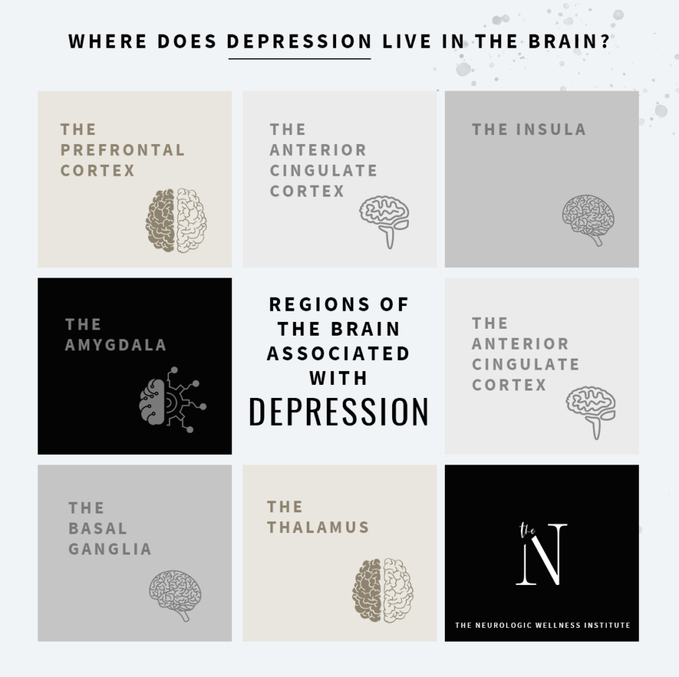 Where Does Depression Live in the Brain? | The Neurologic Wellness ...